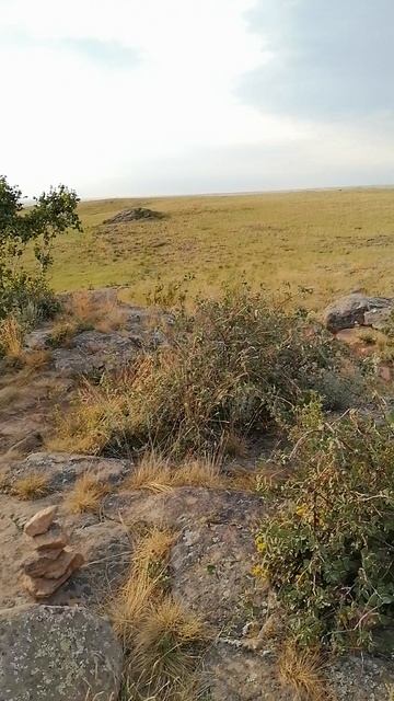 Южный Урал. Аркаим. Гора 7 печатей. 16 июня 2025.