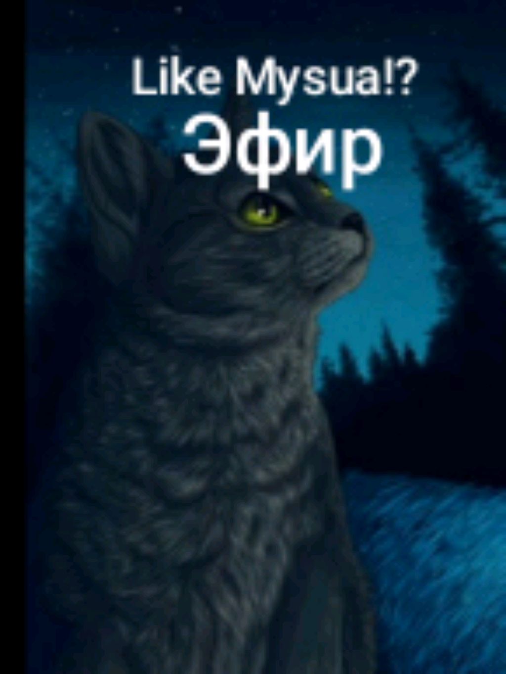 как приручить котёнка к лотку за 4-7 действий