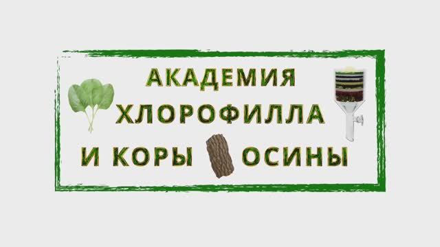 Фитодентология №4. Исследование физических свойств Фитодент