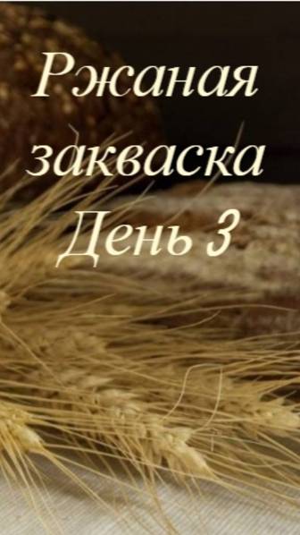 Рецепт ржаной закваски день 3. Видеообзор на канал Olga PekarKo, пробуем приготовить