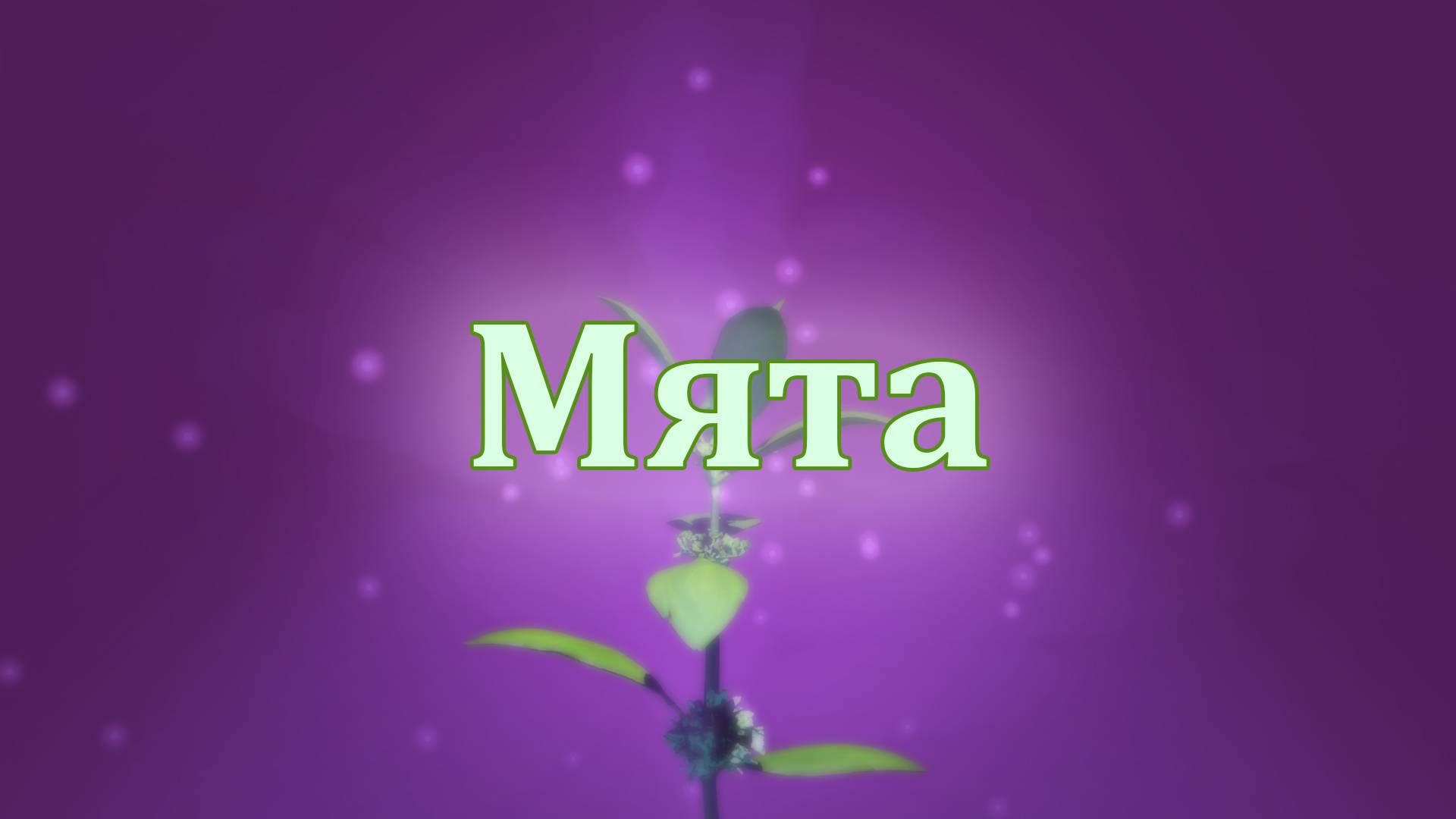 Мята — полезные свойства для здоровья