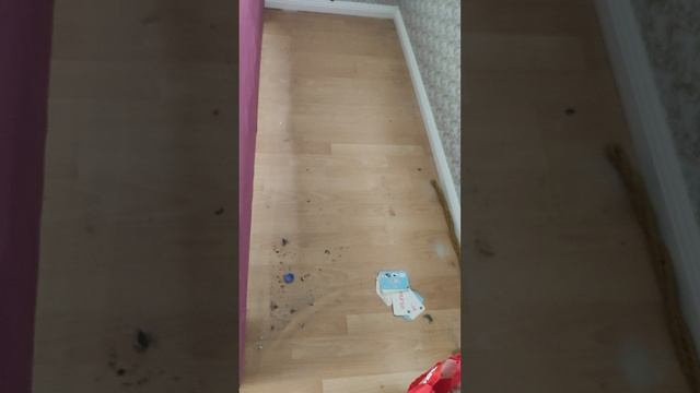 Что можно увидеть при найме квартиры в посуточную аренду