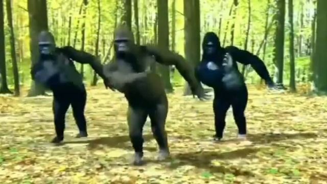 Хорошо животным быть. Вячеслав Деревенский