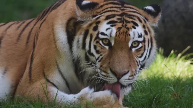 ✨Спокойной ночи, малыши✨091/2025 Интересные родственники