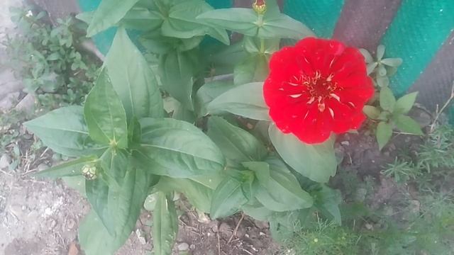 VID_20250707_185044