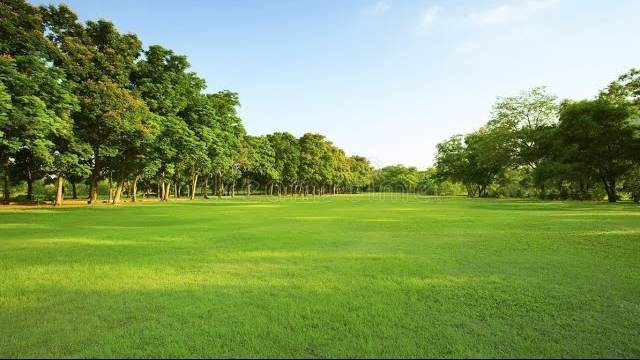 ПАРК В ВОТКИНСКЕ