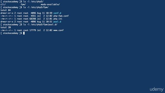 13. Nginx Настройка backend