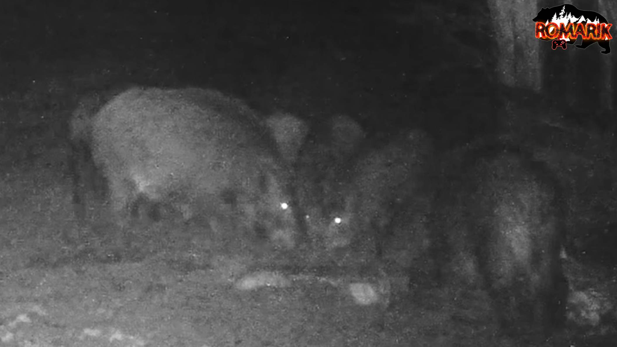 ЭТОГО КАБАНА лучше не злить! Реальная мощь дикого вепря