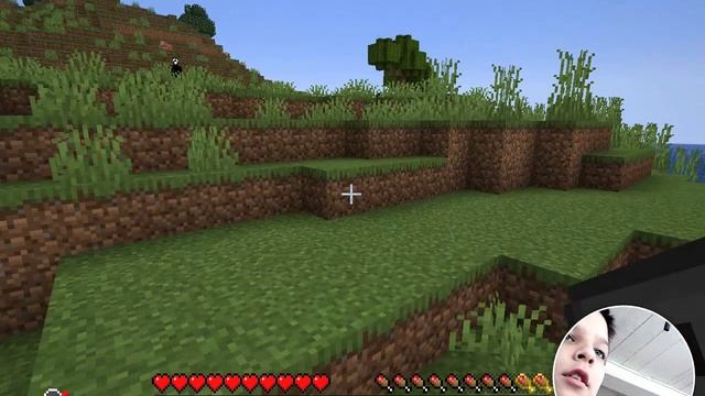 Карим 8 июля играет в майнкрафт