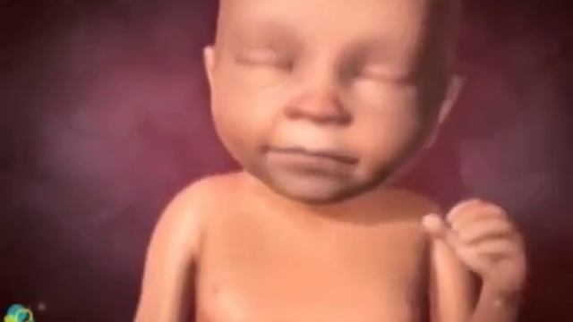 Развитие малыша в утробе мамы - познавательное видео для детей с русской озвучкой