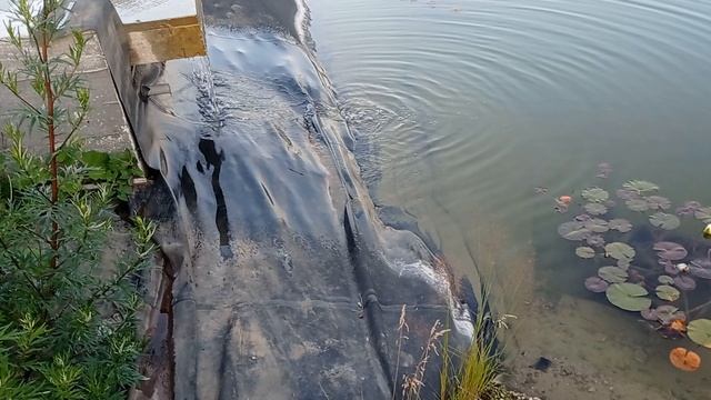 Биоплато. Июнь 2025 .