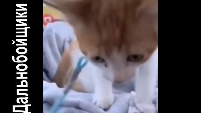 Добрая подборочка