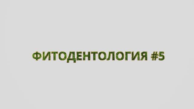 Фитодентология №5. Питьевой травяной хлорофилл Фитодент
