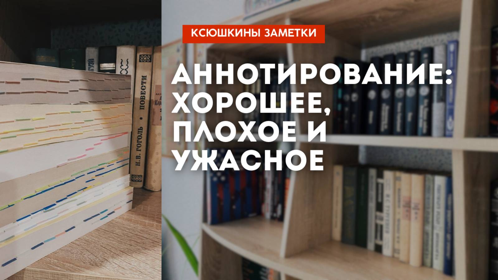 АННОТИРОВАНИЕ: Зачем писать в книгах?