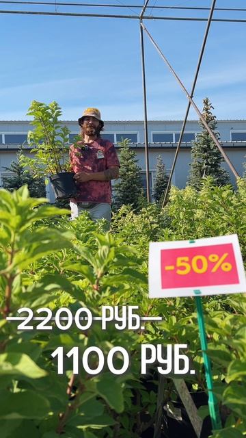 С днём семьи любви и верности