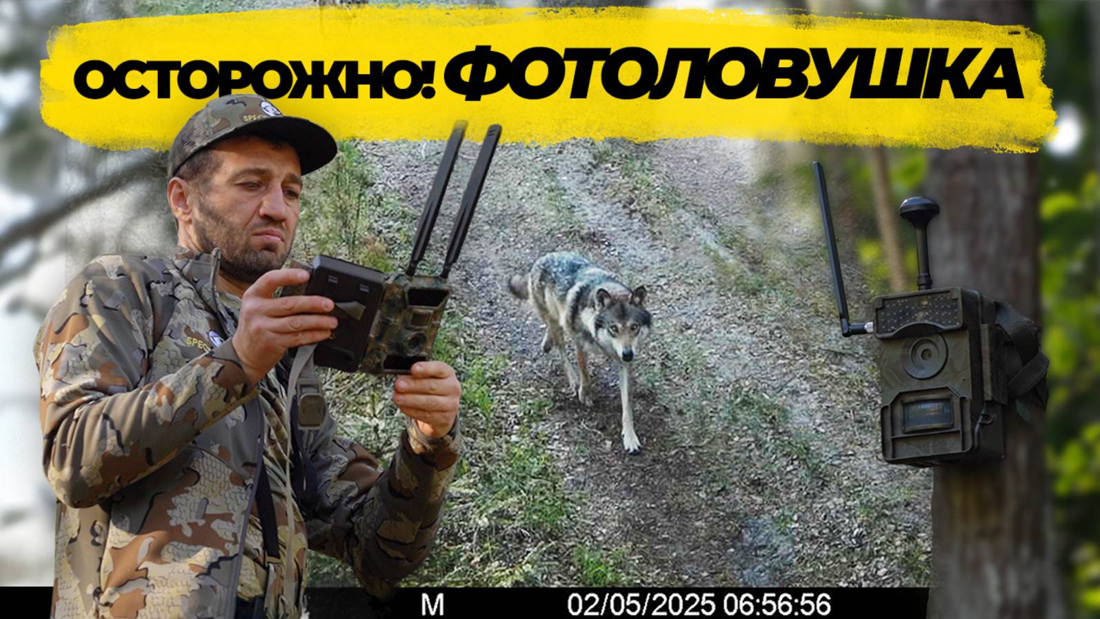 Как выбрать фотоловушку для охоты. Делюсь опытом.