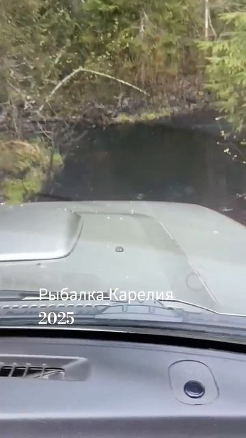 Patrol и Карелия😍