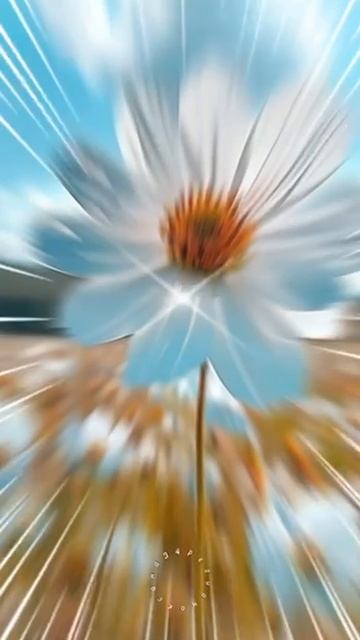 Самый лучший день. Добавь себе настроения. Музыкальная открытка пожелание.