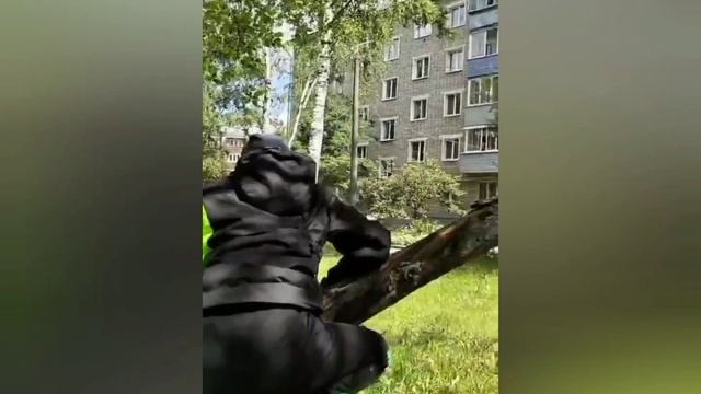 Мини-фильм "Синематик фильм дерево" на языке Хинди.