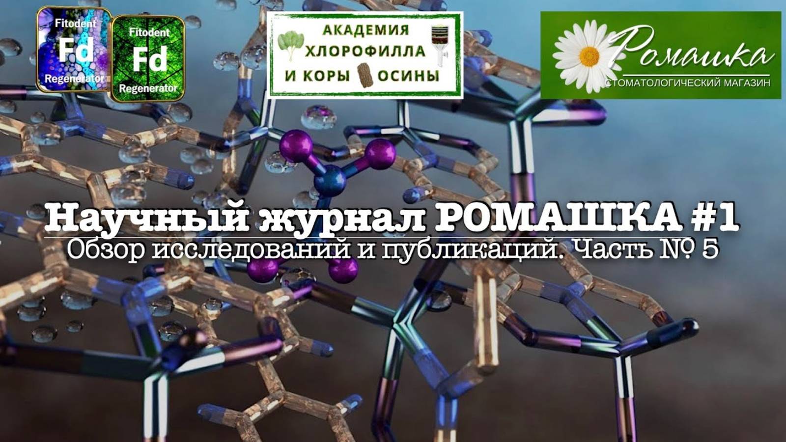 Научный журнал  Ромашка: Обзор исследований и публикаций. № 1.5