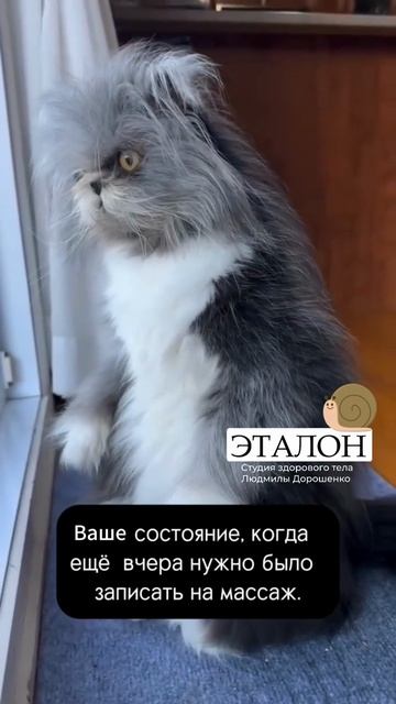 Прикол о массаже