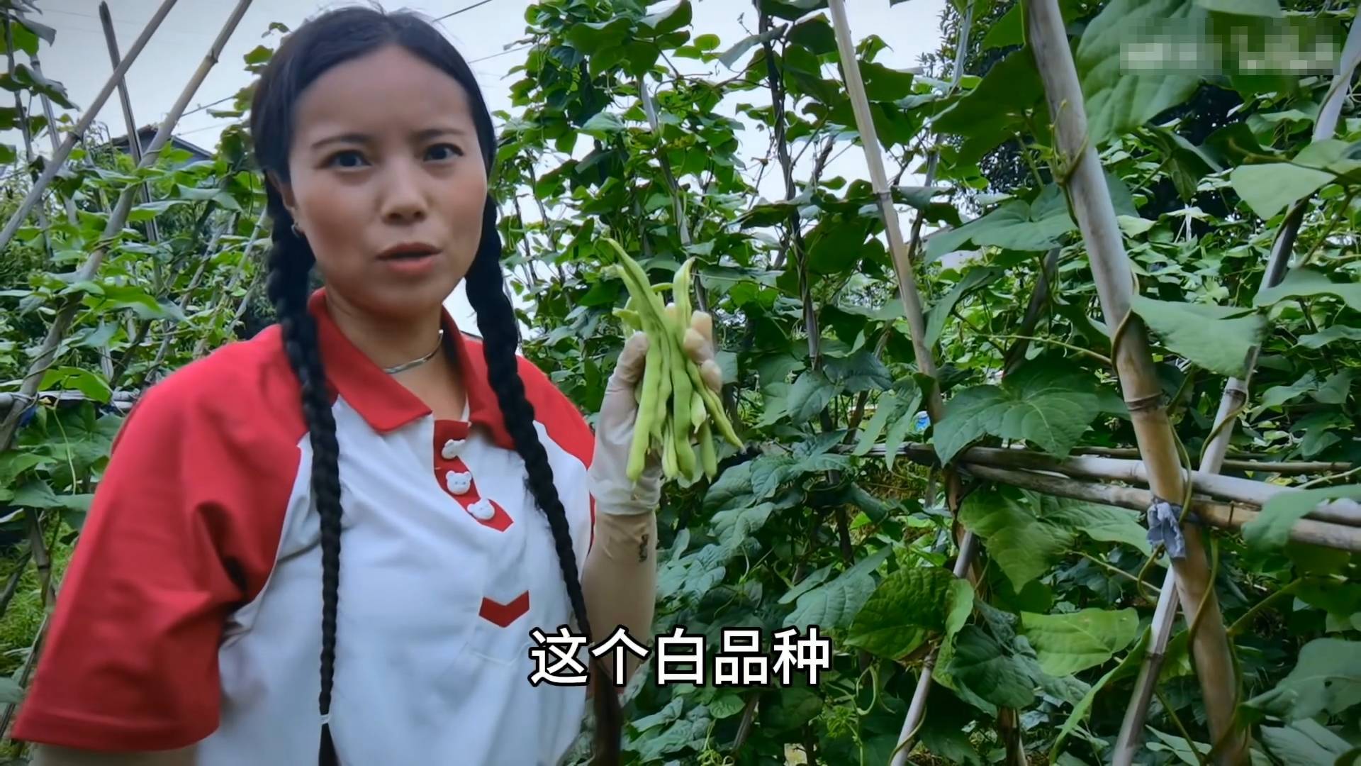 Сянъе Ёко - собирает летний урожай