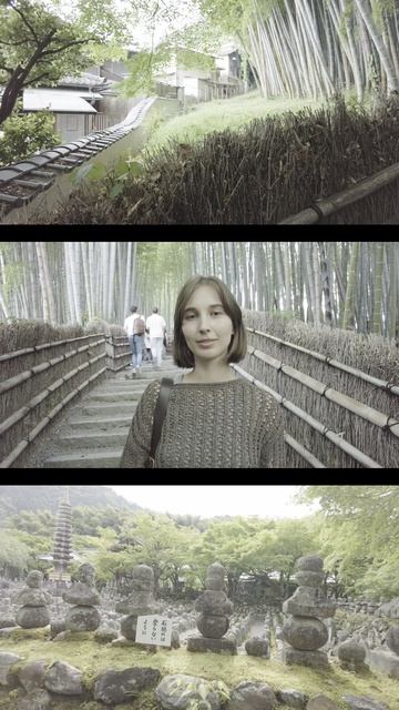 Где любоваться бамбуковыми рощами в Киото  #travel #киото #япония