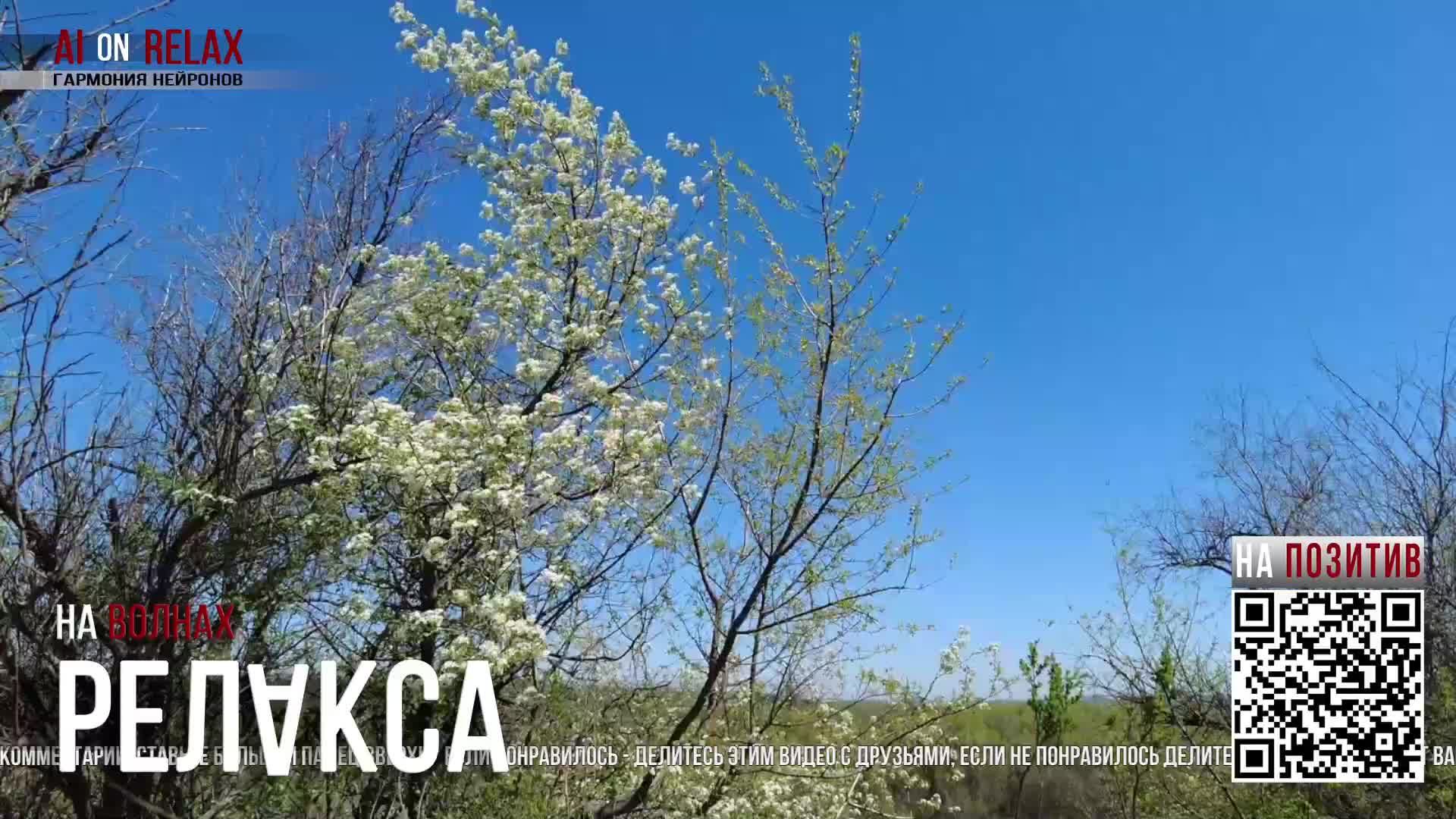 AI on Relax 09 На волнах релакса.Гармония нейронов.Расслабляющая музыка.Глубокий Сон.Медитация.