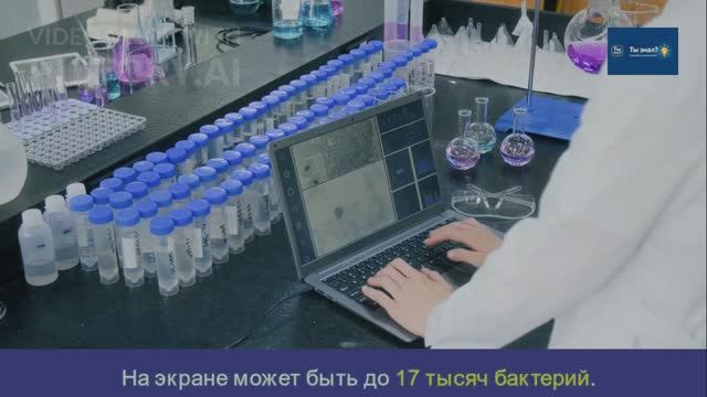 10 невероятных фактов, в которые сложно поверить, но это правда!