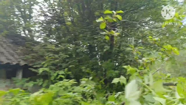 Нижний Новгород Наша дача и Сортировка