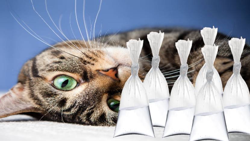 Суперские эксперименты с водо-антистрессами из пакета!