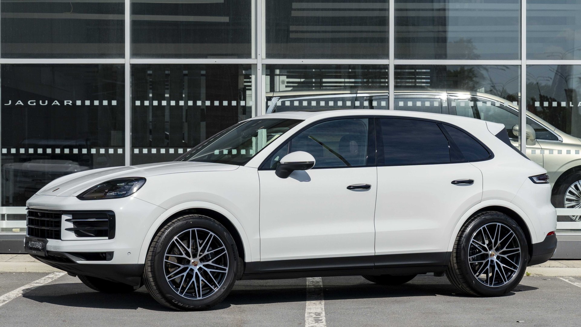 Porsche Cayenne 3.0 Tiptronic, 2024