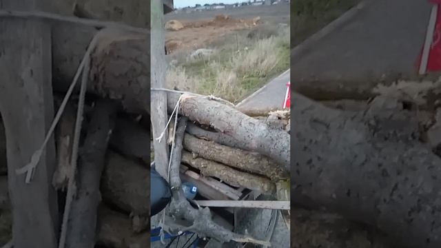 Дровасек, деда Витя.