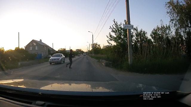 Сайгак на дороге