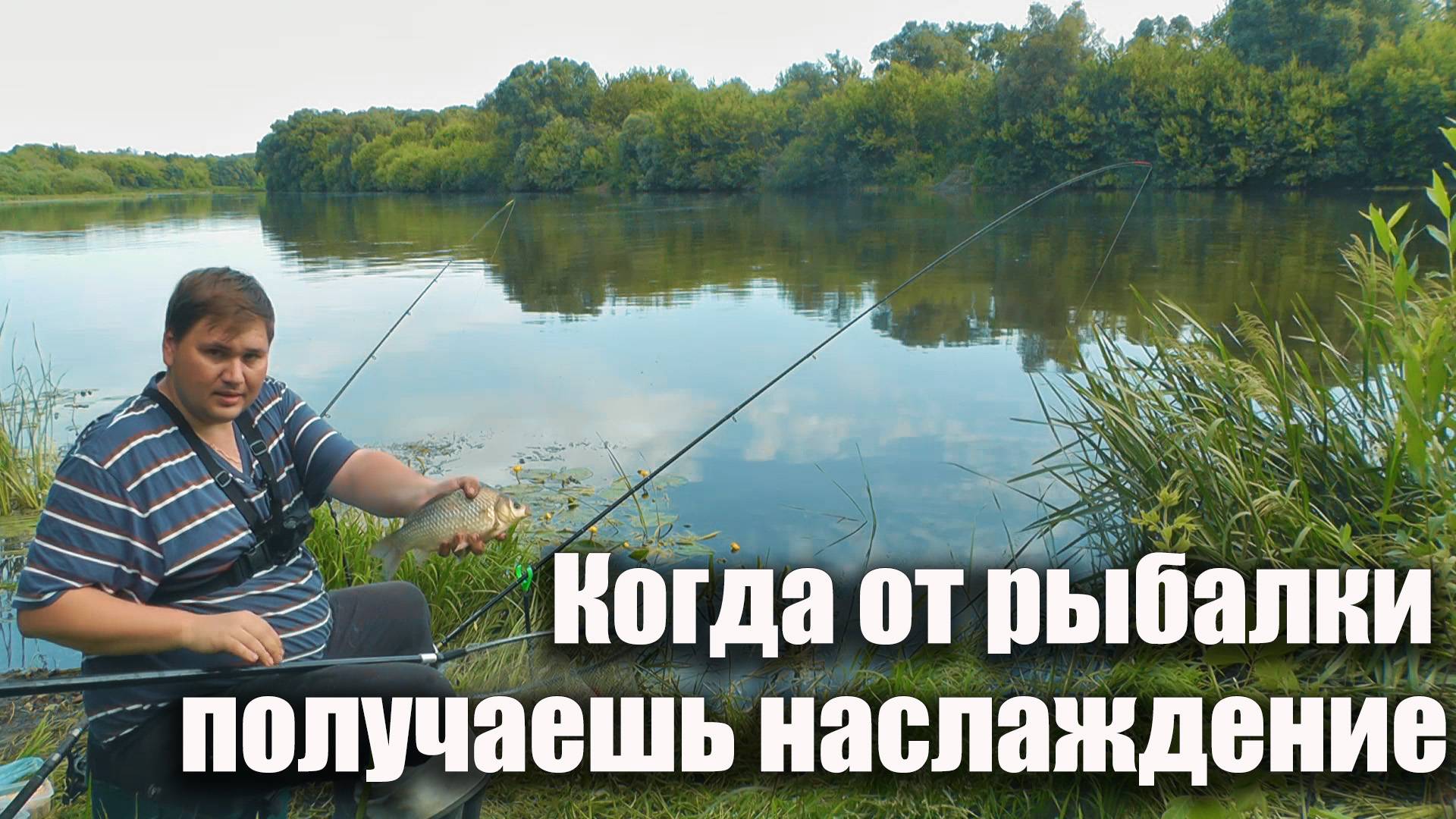 Кайфовая Рыбалка на Реке Отличные Поклевки Живописная природа Ловля на Фидер в Заводи (2020 г.)