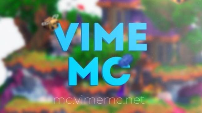 Стрим на сервере VimeMC