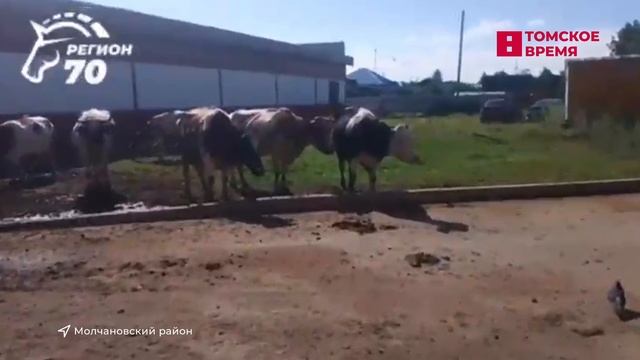 Новости региона с Анастасией Хлань