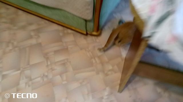 Неизвестная рука 12 (неизвестная рука 11 никогда не выйдет)