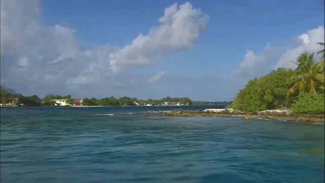 Акер Билк. Джинни со светло-каштановыми волосами.  Acker Bilk.  Jeannie with the Light Brown Hair.