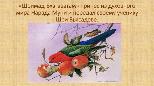 Обзор ШБ 1.1.3