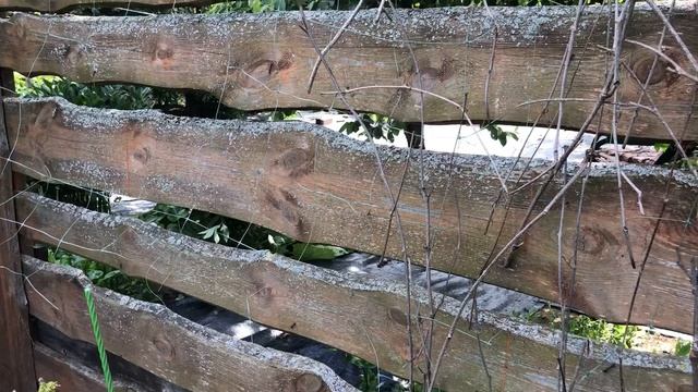 Что делать, если пакостят соседи?