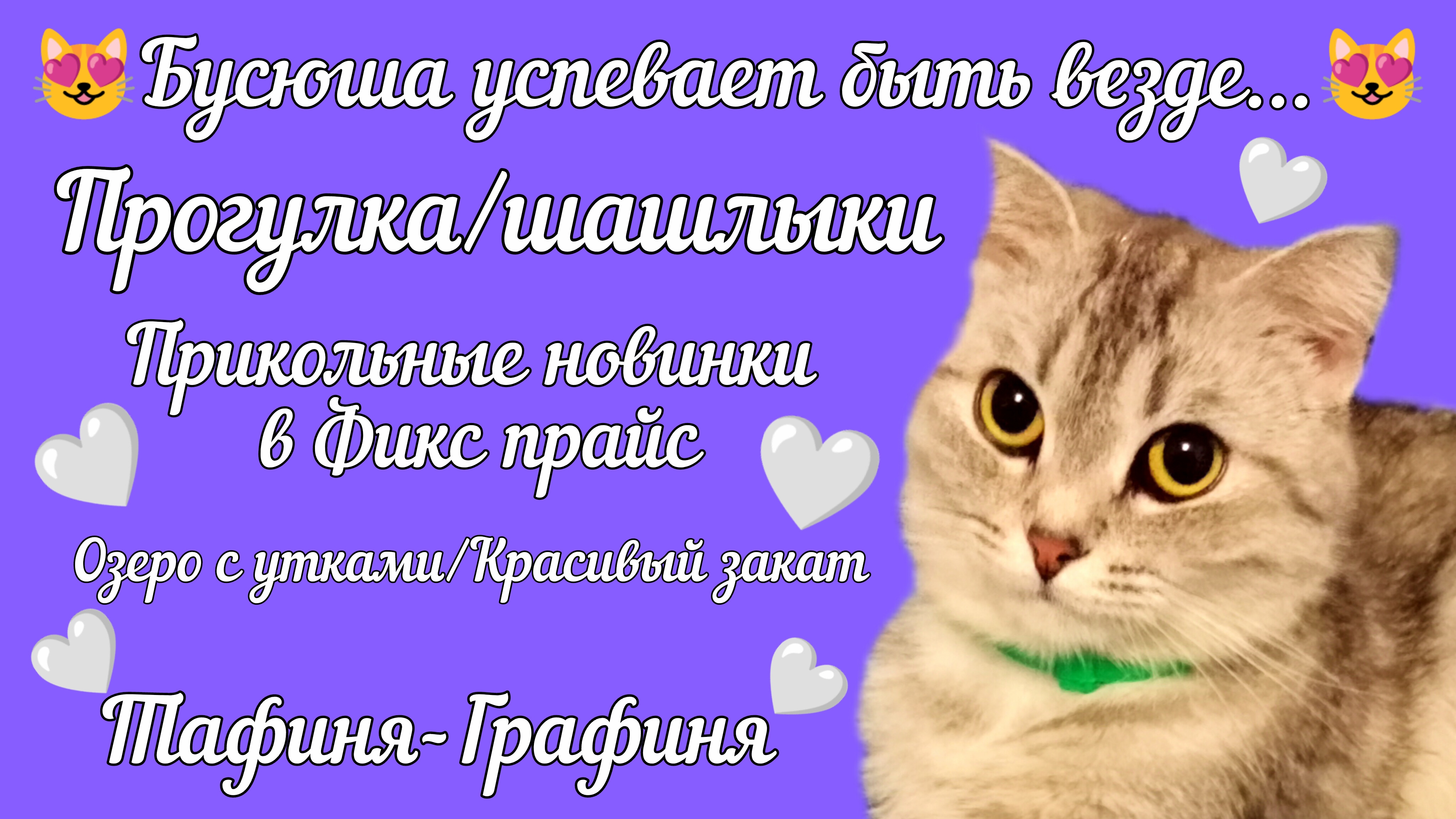 😻 Бусюша везде все успевает 😻