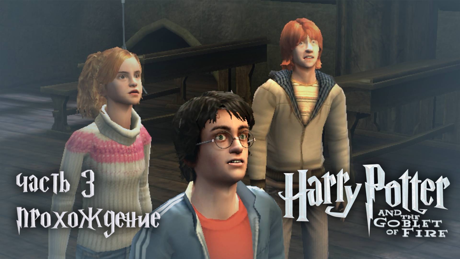 Готовимся к первому испытанию Турнира / Гарри Поттер и Кубок Огня / 3 часть — прохождение 101%