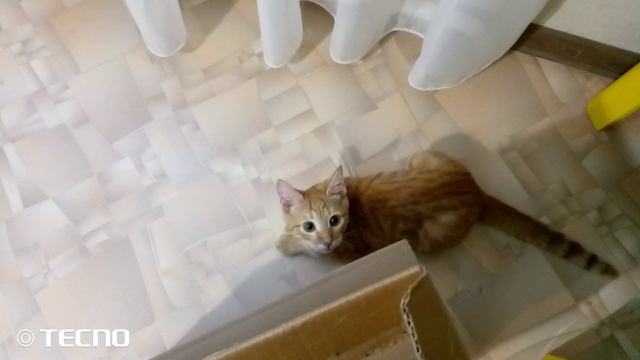 Неизвестная рука 24