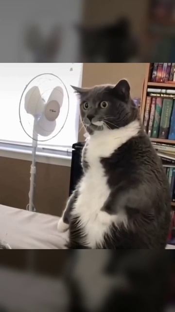 Учимся танцевать