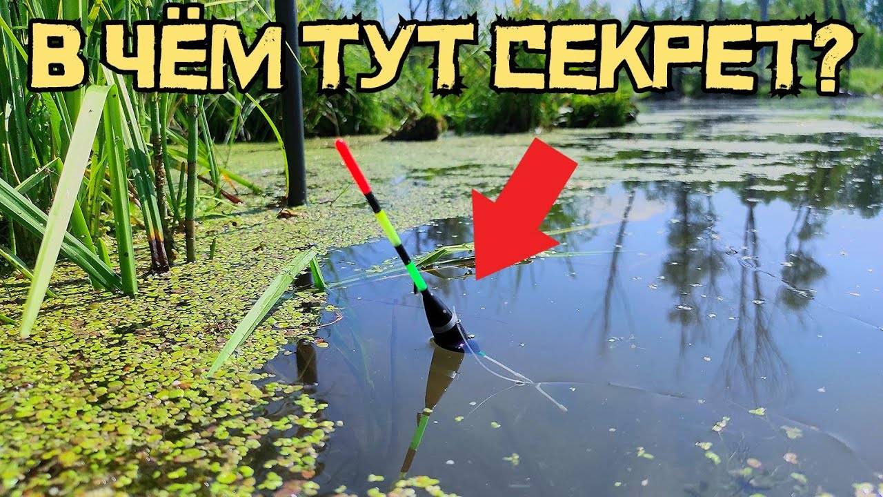 ПРИДУМАЛ ХИТРОСТЬ и ПОЙМАЛ КАРАСЕЙ! Рыбалка на поплавок в ПРУДУ УДИВИЛА! Ловля рыбы в июне 2025