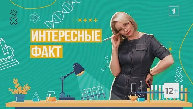 Роботы. 01.07.2025, «По науке» |  Павел Розкаряка, ФИЭР