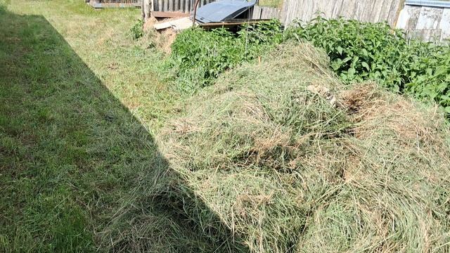 Подбор сена, ч.1