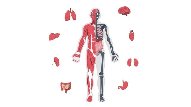 Предметный онлайн-марафон 2023