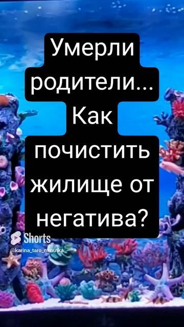 5 шагов чтобы очистить квартиру от плохой энергии